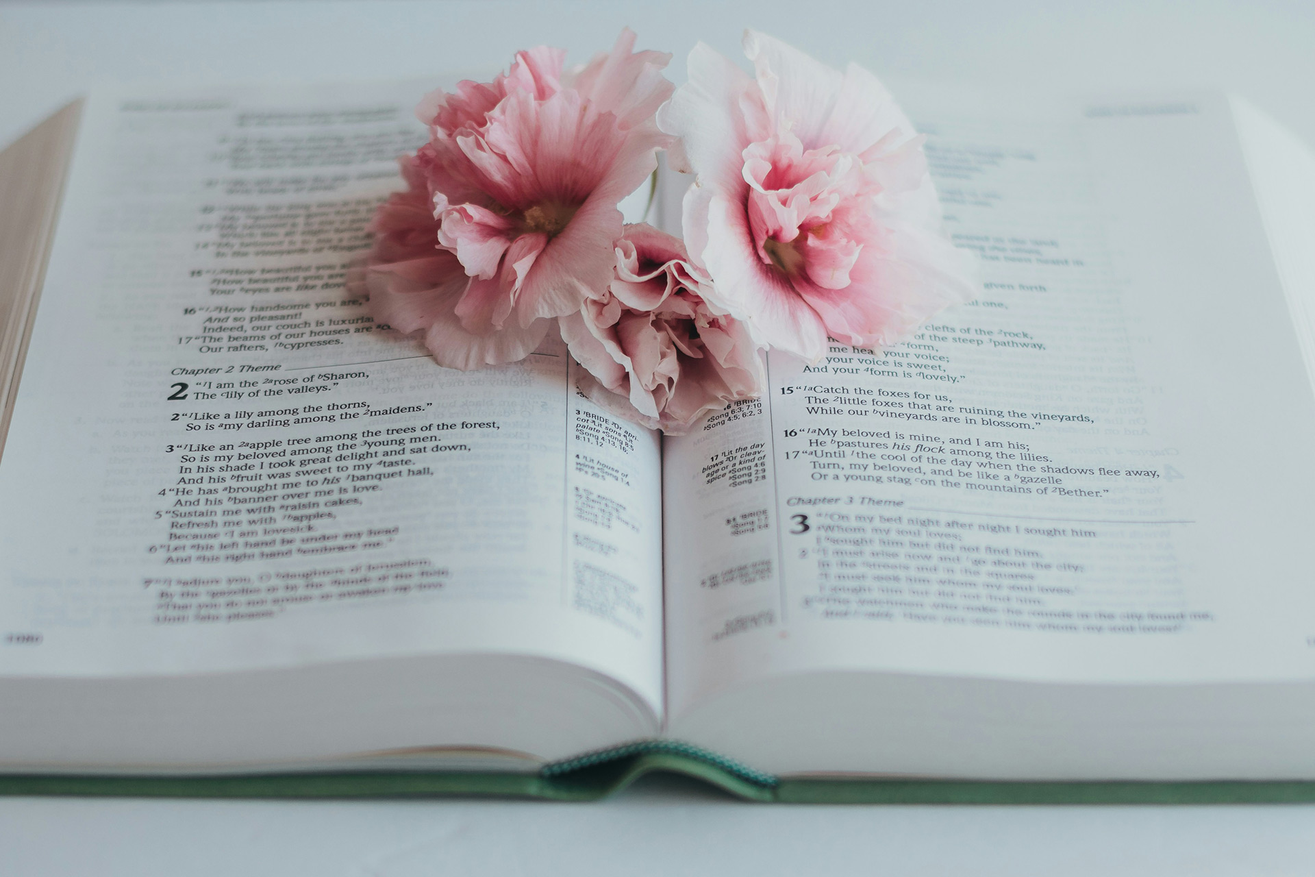 Our Beliefs – South Atlantic Conference of Seventh-day Adventist